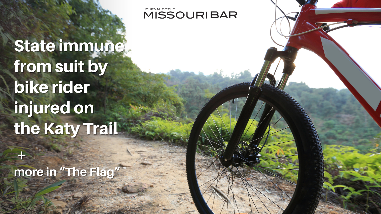 The flag: Lost profits must be proven, State immune from suit, more