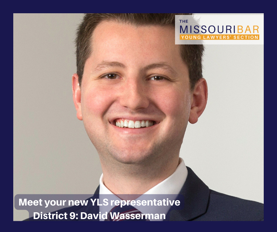 Meet your new YLS District 9 representative: David Wasserman
