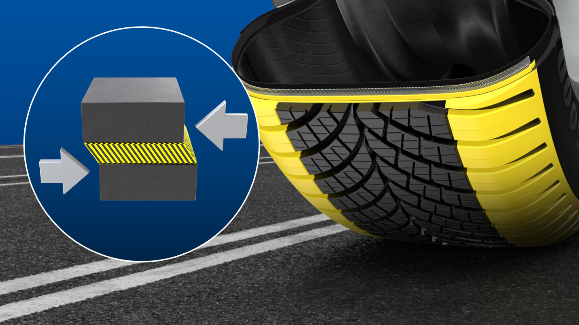 Winning in all-season: Building a Vector dynasty to last