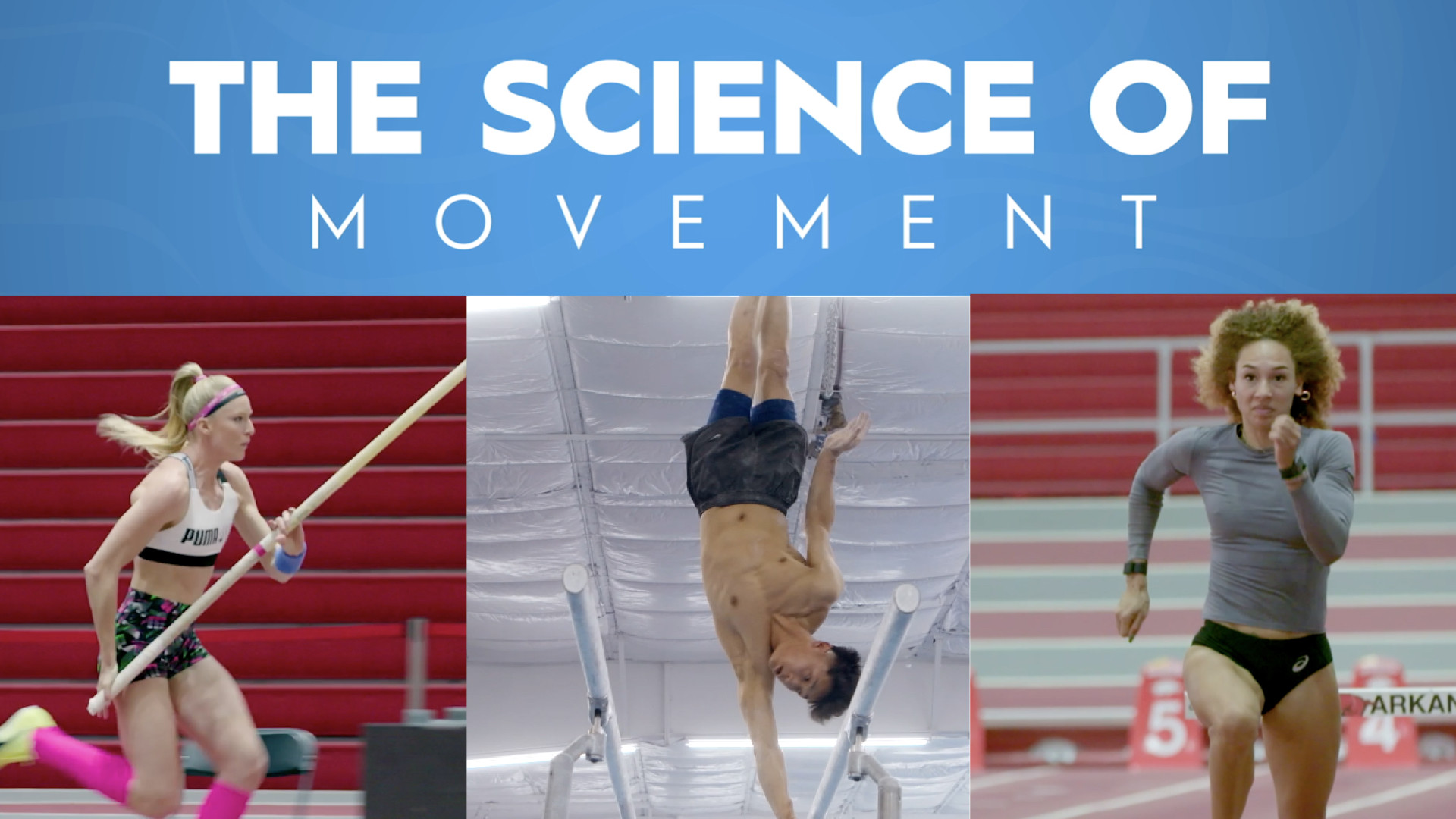 Top Athletes and Sports Medicine Experts from Hospital for Special ...