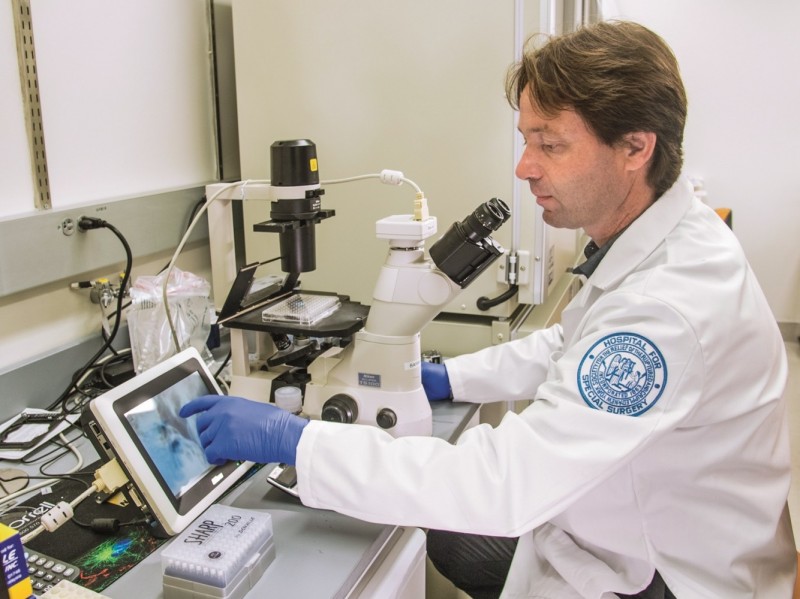 Hospital for Special Surgery Research Institute Scientists Discover a ...