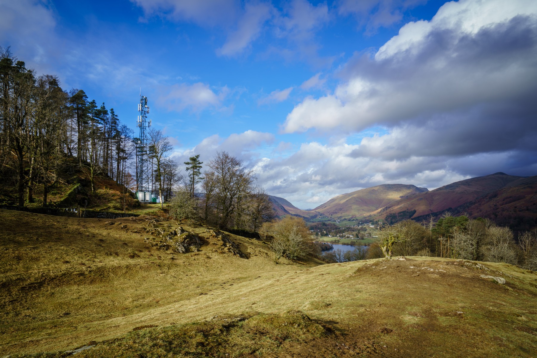 Our efforts to tackle rural coverage are gaining momentum