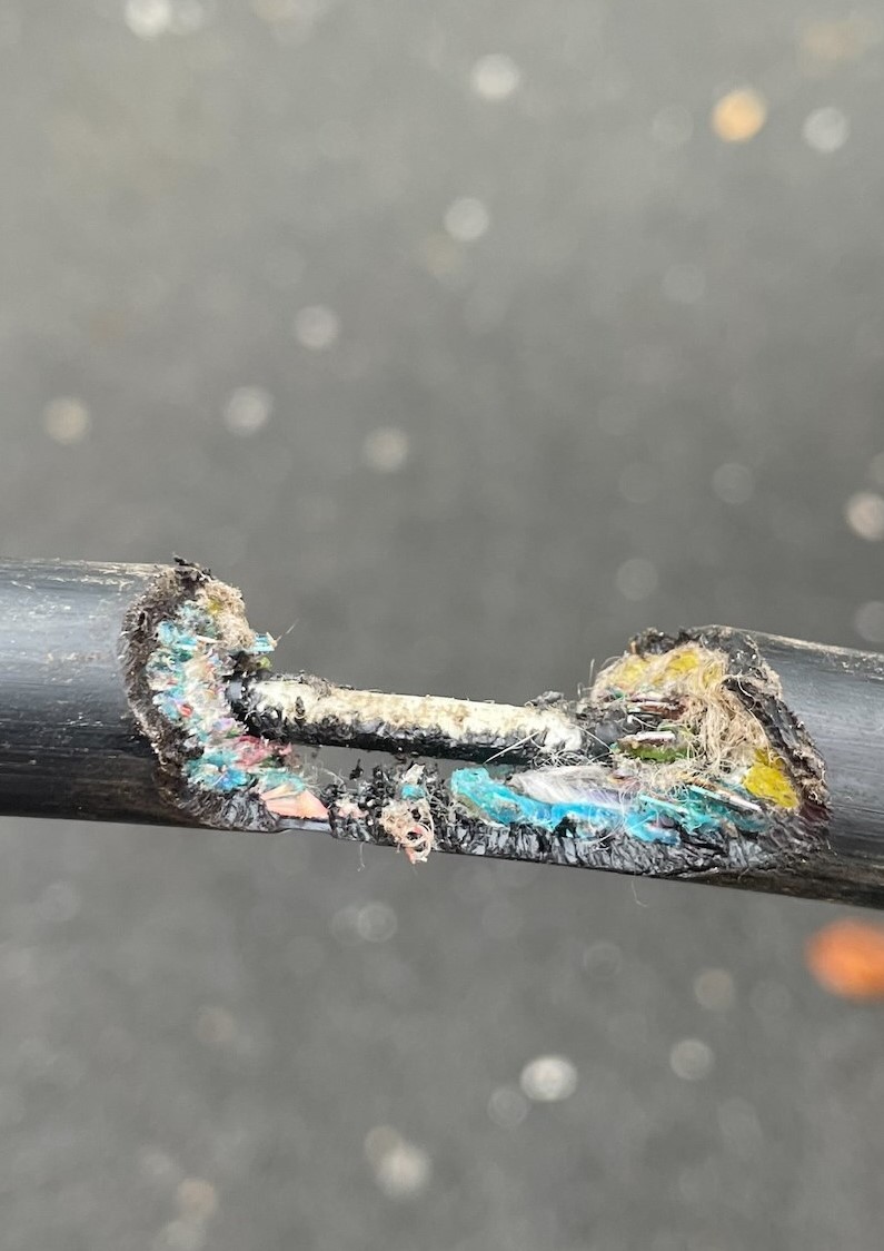 Rodents damage cables in North Devon leaving 1,800 customers out of service
