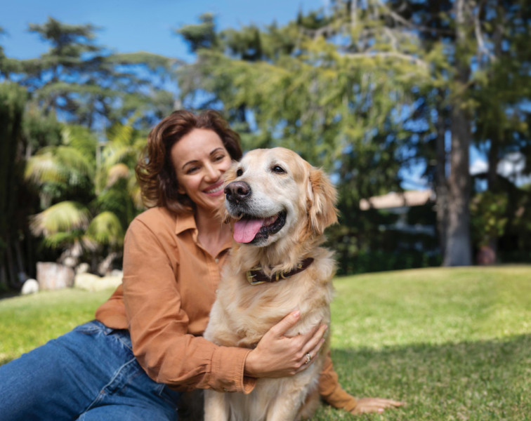 Relocate pets and ship cars for less with Emirates Skywards