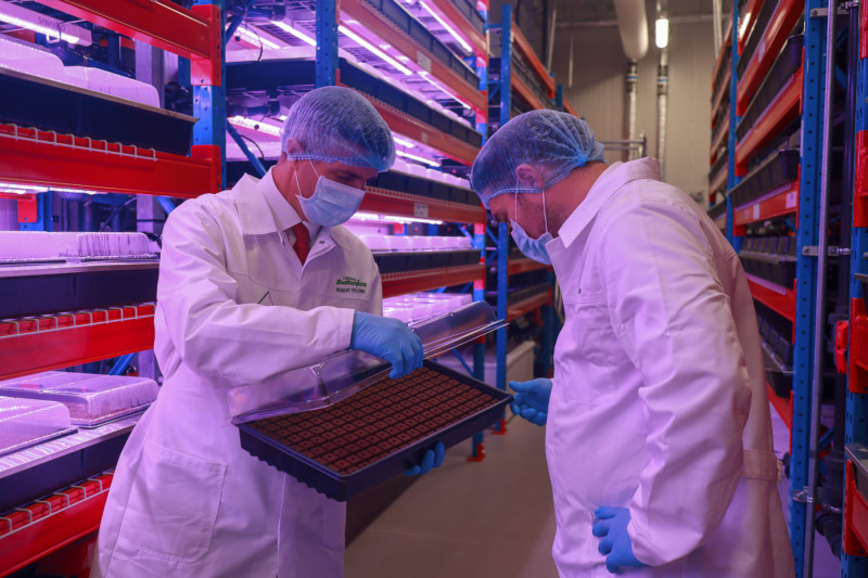 Emirates Crop One ouvre la plus grande ferme verticale du monde à Dubaï