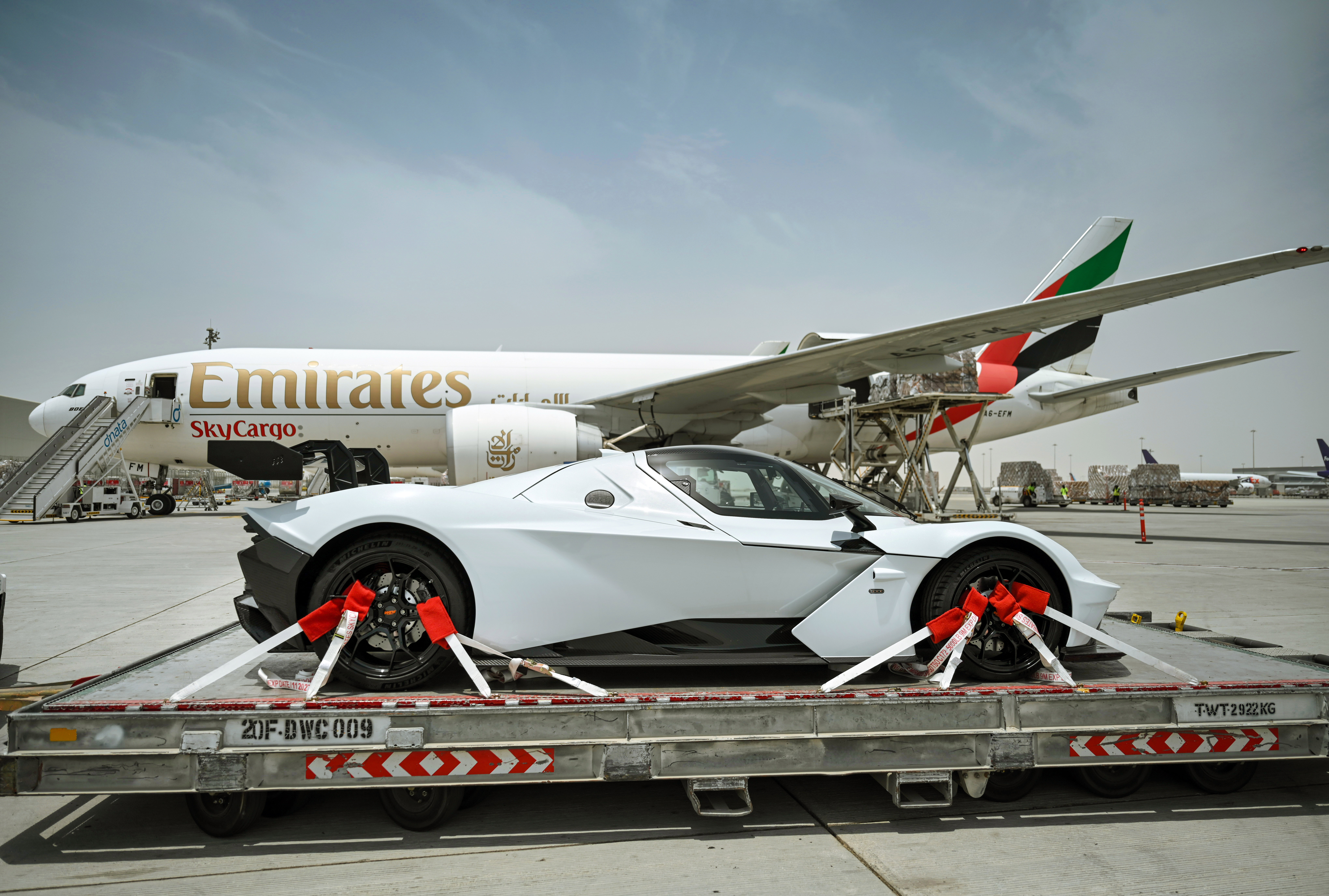 Relocate pets and ship cars for less with Emirates Skywards
