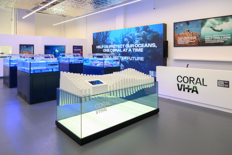 DP WORLD AND CORAL VITA OPEN THE UAE’S FIRST RESTORATIVE & EDUCATIONAL ...