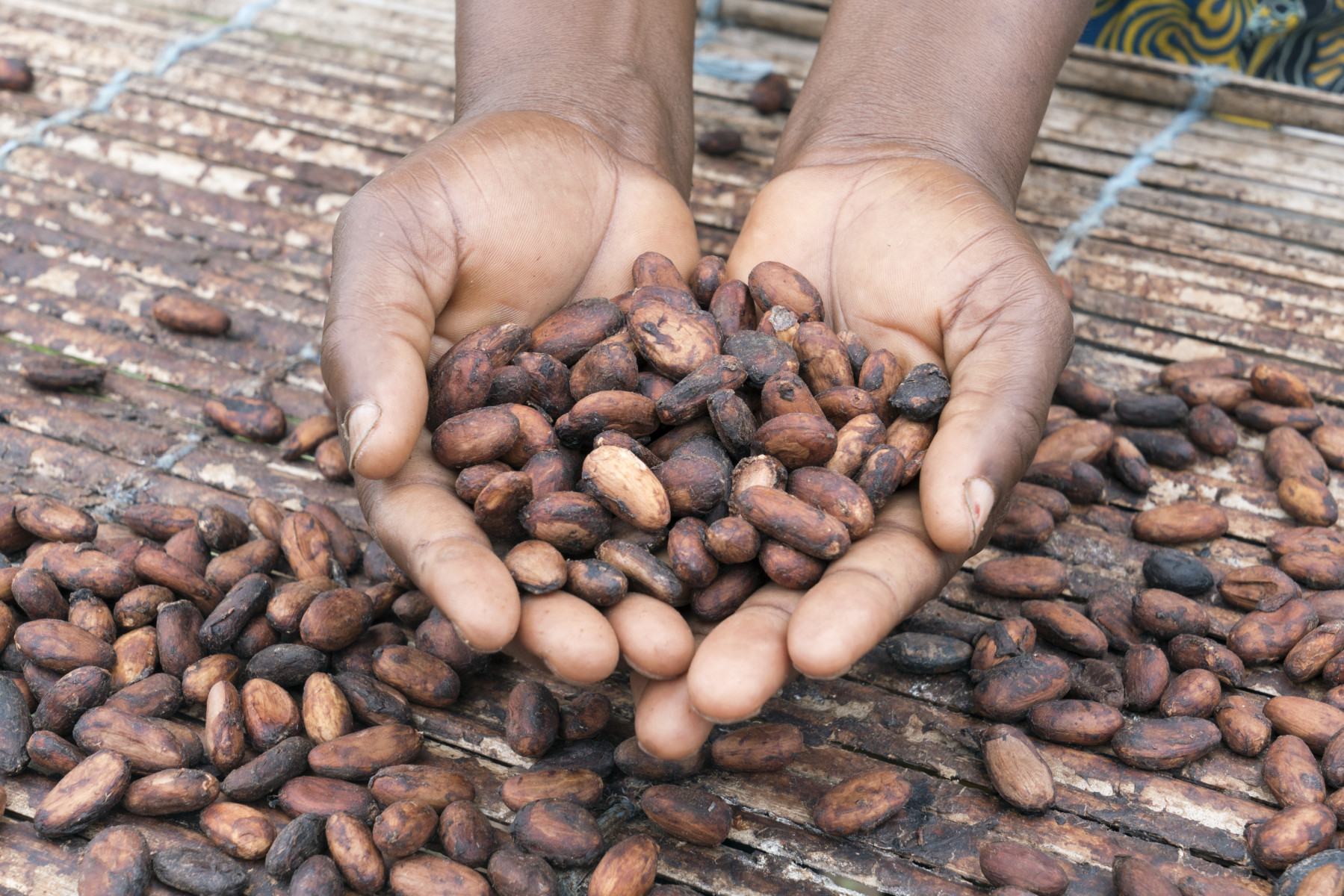 DP WORLD TRADE FINANCE AND J.P. MORGAN COLLABORATE TO PROVIDE GLOBAL WORKING CAPITAL SOLUTIONS ...