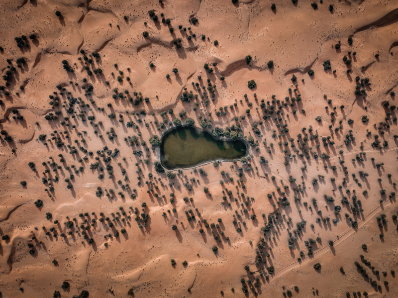 Arabian Adventures launches new range of Educational Trips in the Dubai ...