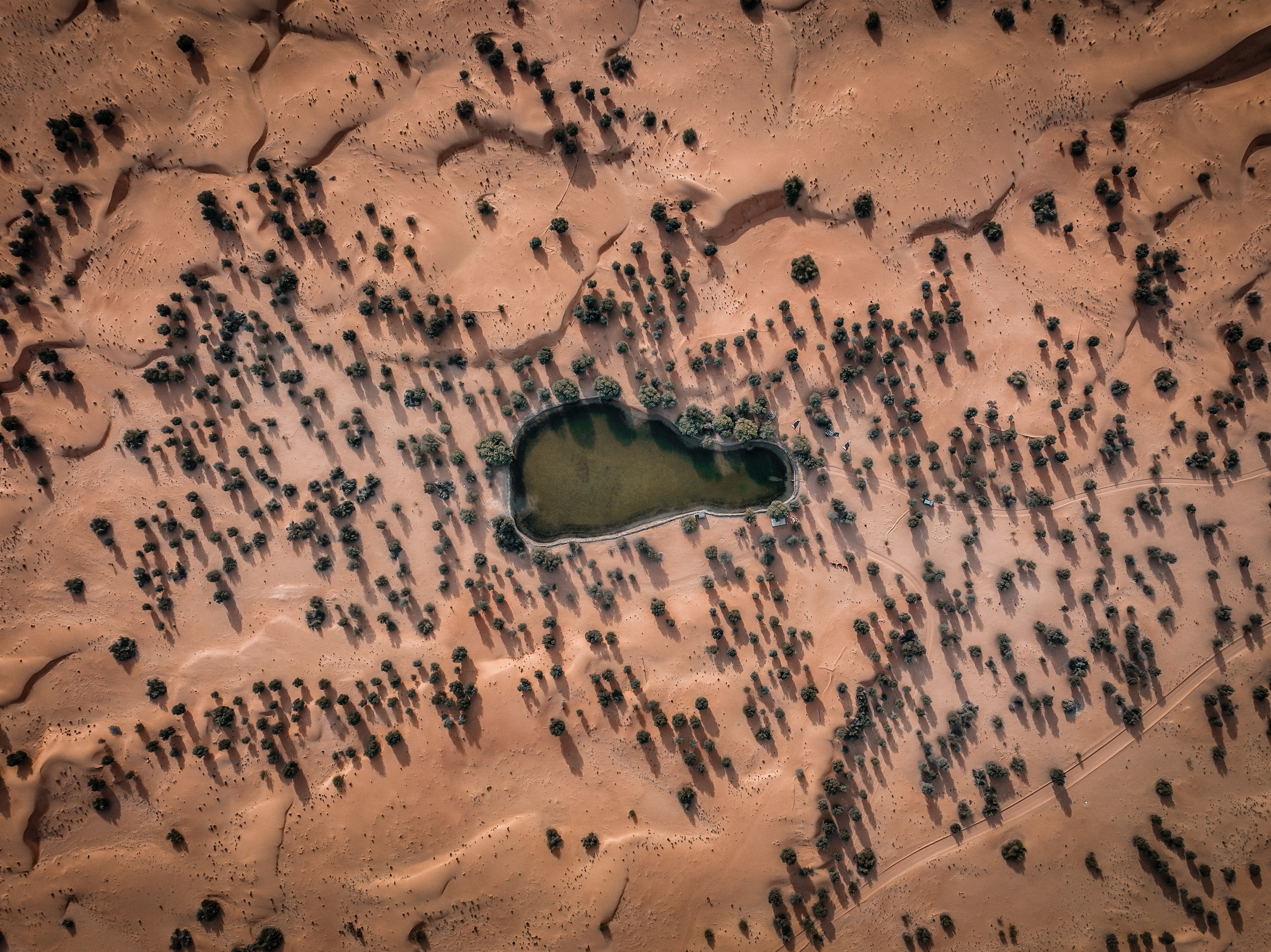 Arabian Adventures launches new range of Educational Trips in the Dubai ...