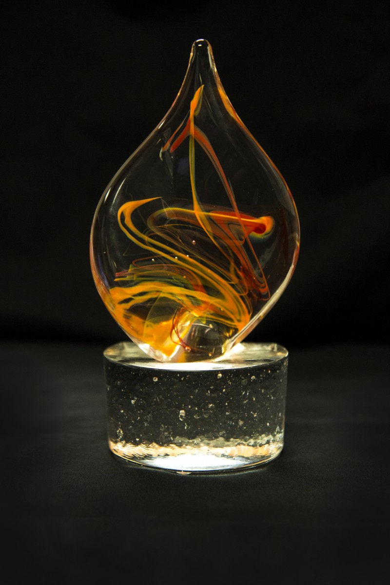 2024 Mohawk College Award of Excellence recipients