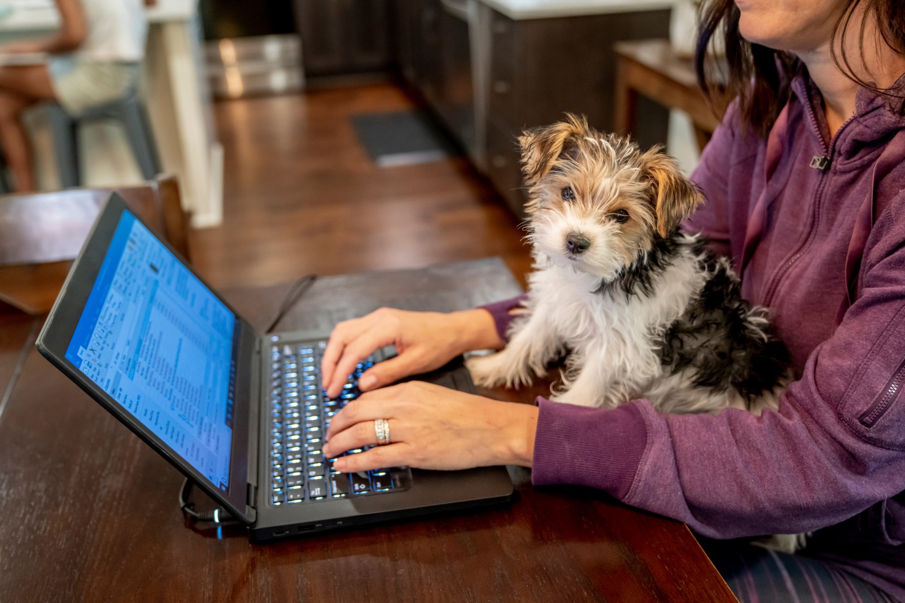 Pet-friendly work perks prove increasingly popular