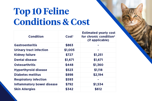 Chronic Conditions Dominate this Year’s List of Most Common Pet Health ...