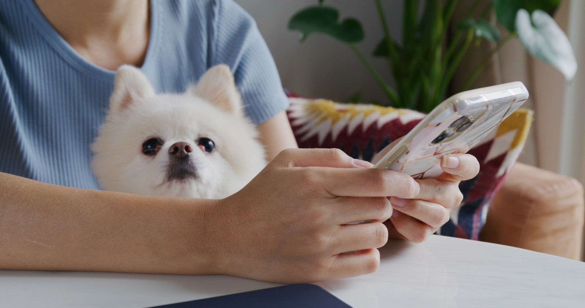 Nationwide VetHelpline adds video consultation feature for pet parents