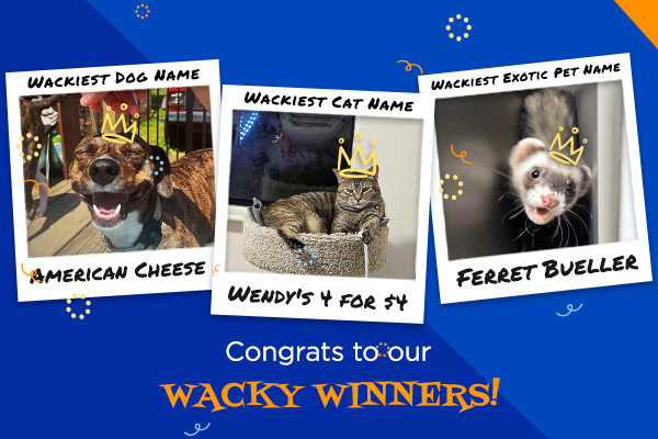 Nationwide announces 2025 Wacky Pet Names winners