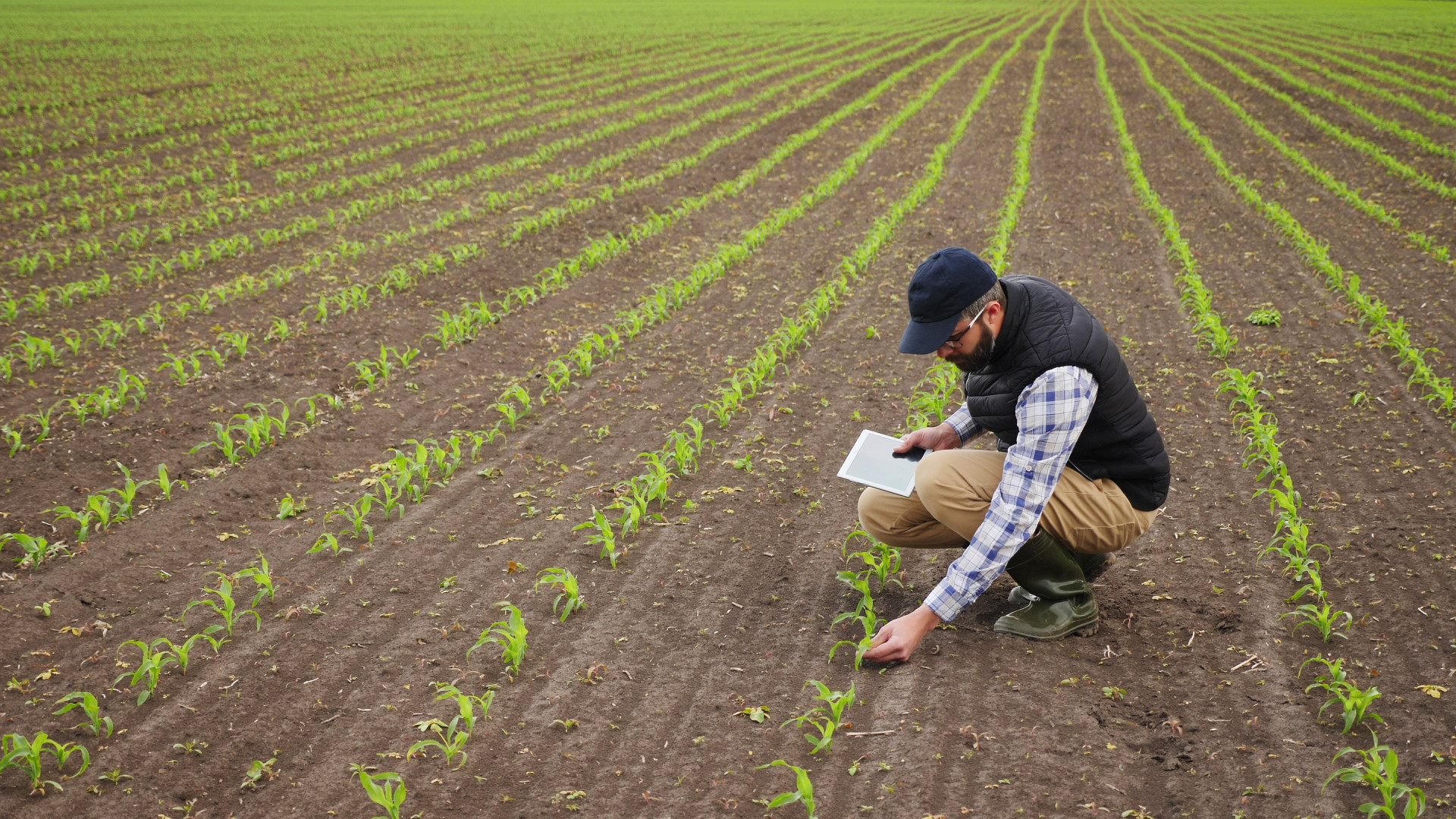 Nationwide Research Reveals Farmers Unprepared for Mounting Non ...