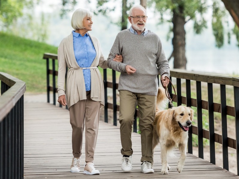 Pet Ownership Promotes Healthy Aging