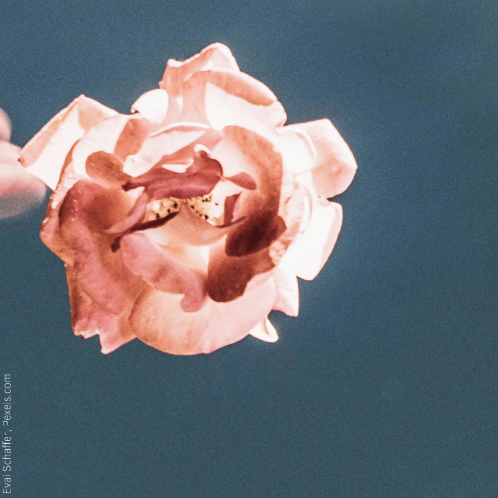 Navigate the exponential growth of AI as senior manager