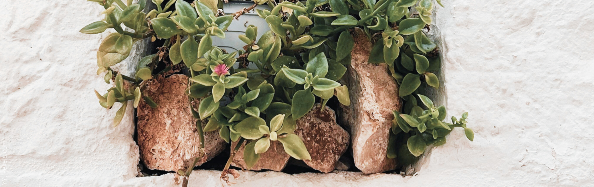 How to make your content stands out in AI times