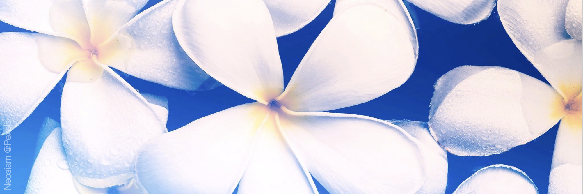 Fast content production process