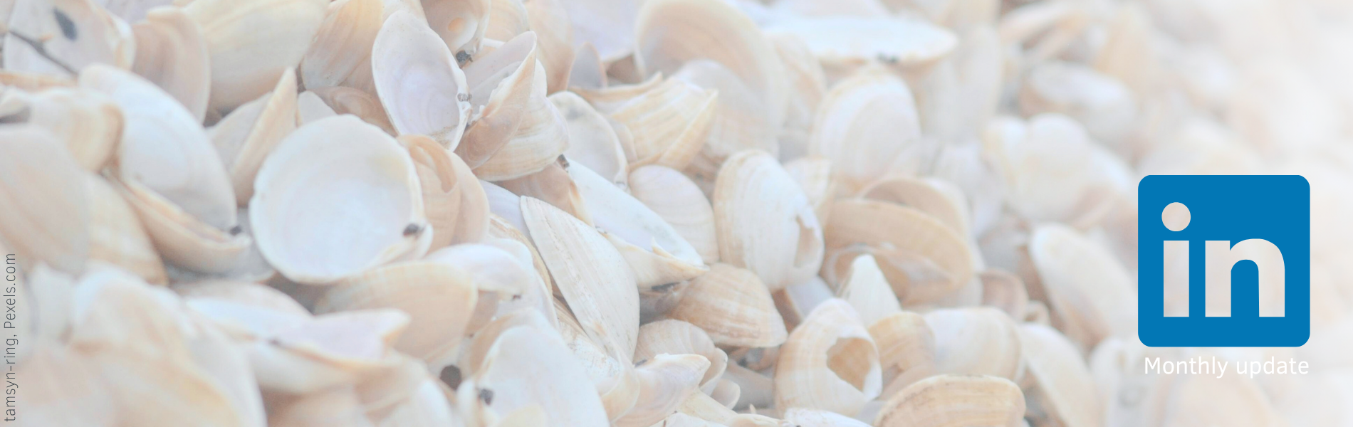 LinkedIn algorithm secrets, what works best on LinkedIn