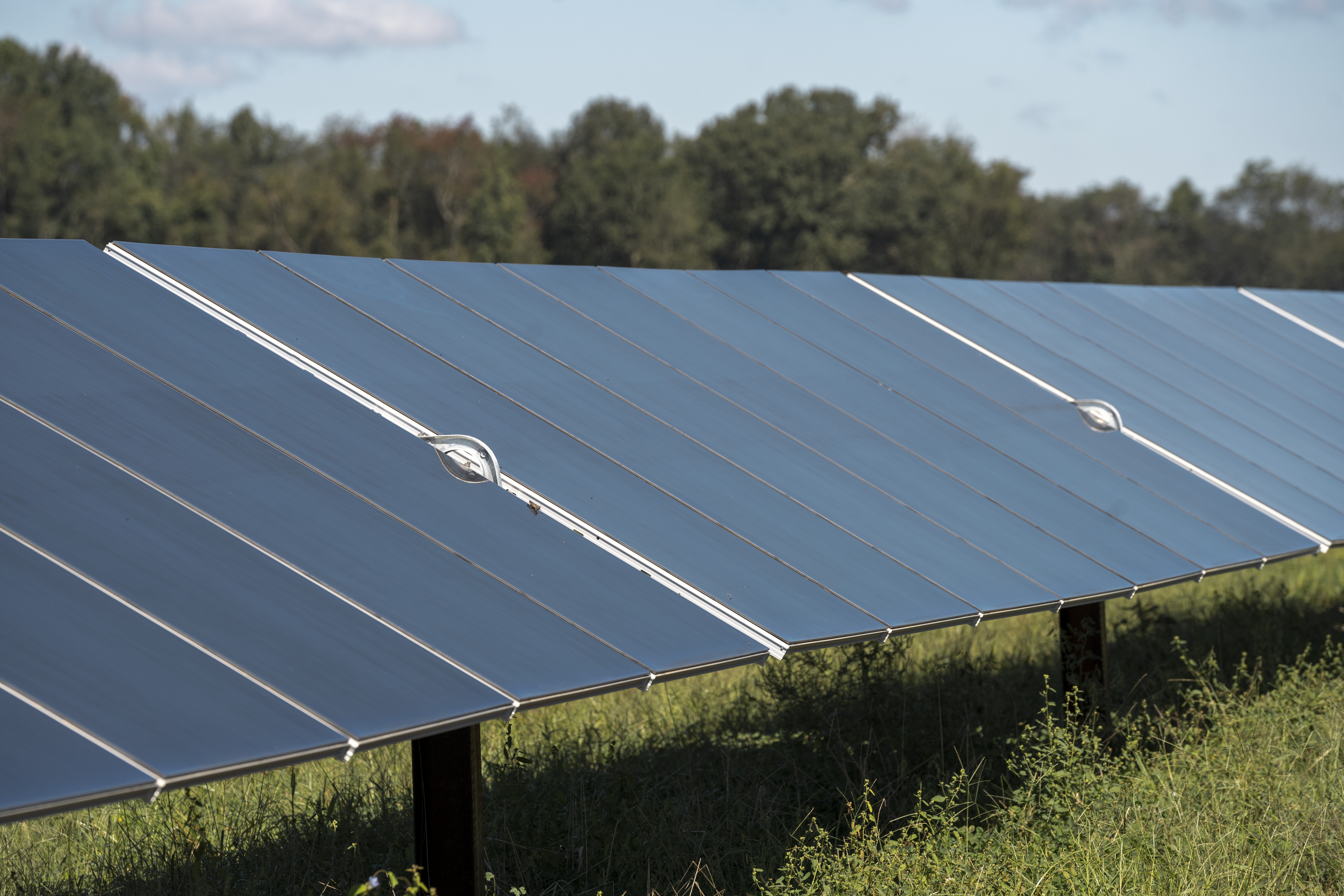 Covestro signs major renewable energy agreement