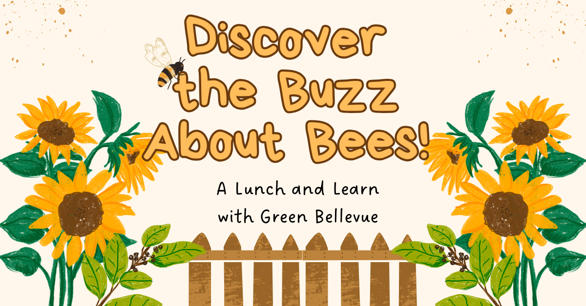 Bellevue Library Hosts Honeybee and Native Bee Talk