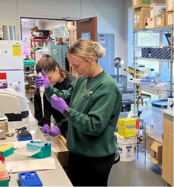 Bellevue Science Student Researches Genetics & Genomics