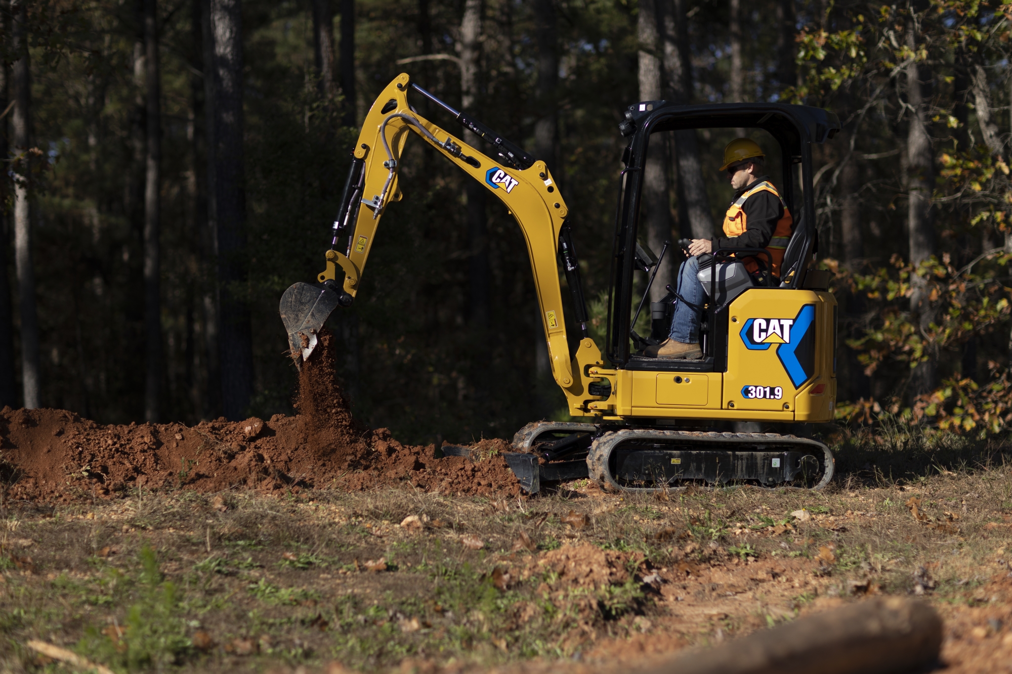 Caterpillar at Construction on the National Mall