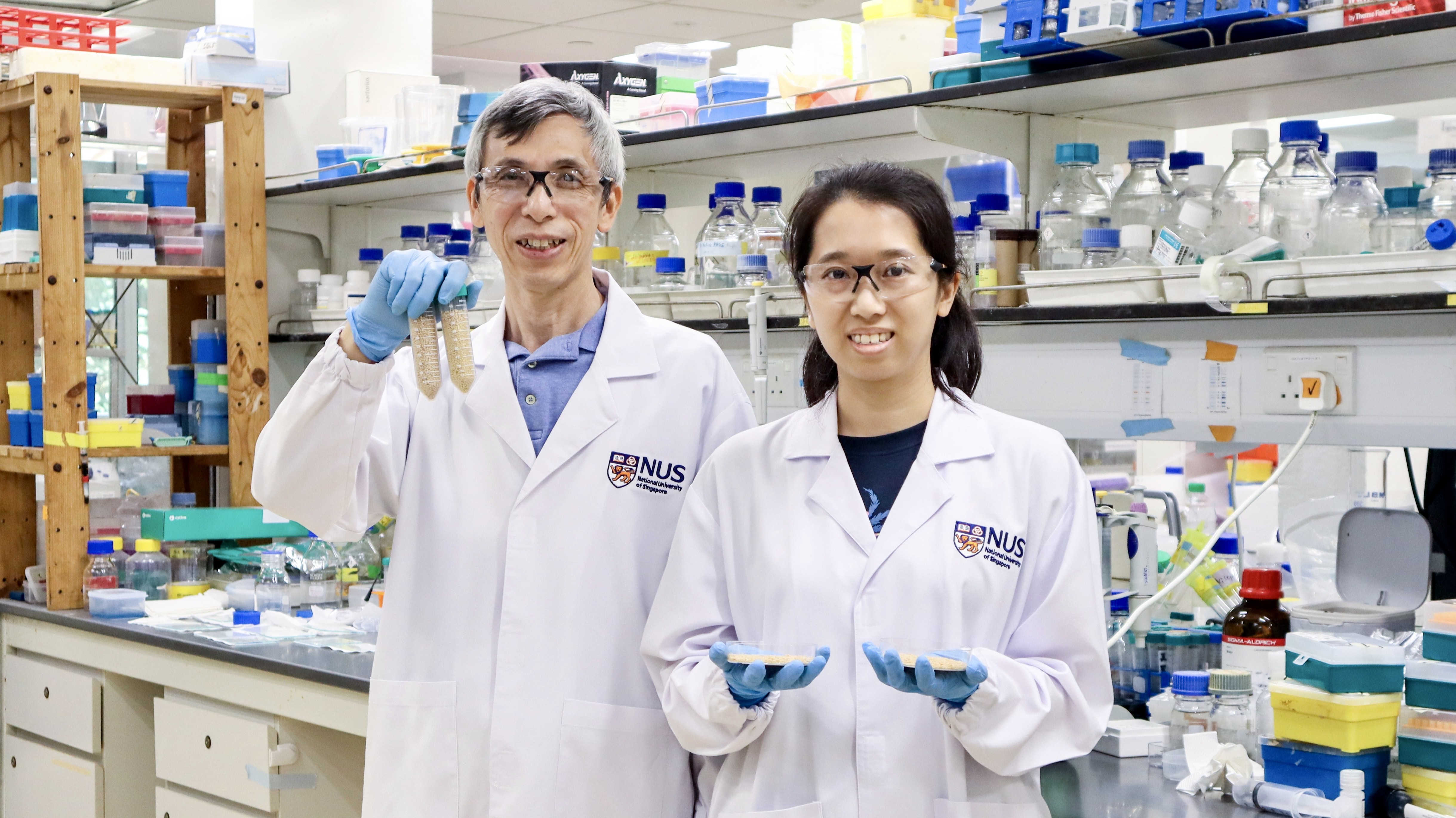 NUS Develops Oral Vaccine to Shield Fish from Virus | Mirage News