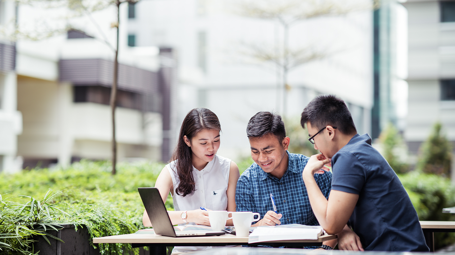The NUS Career Compass