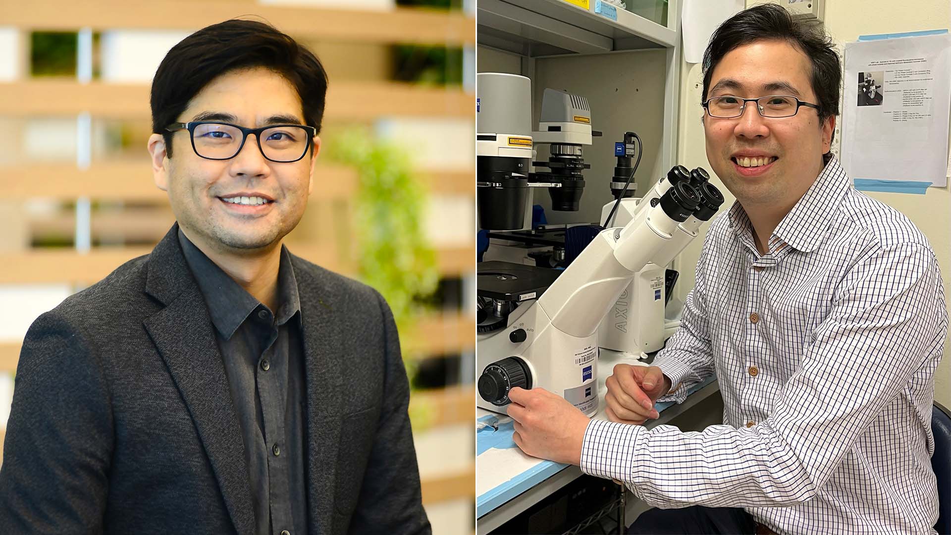 NUS scientists selected for EMBO Global Investigator Network