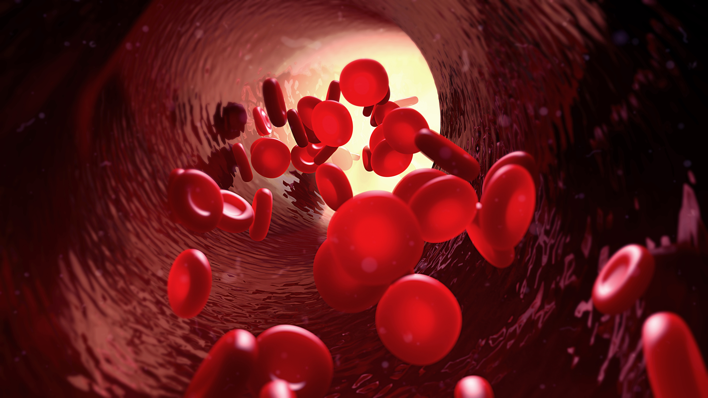 Scientists discover a new pathway essential for blood formation ...