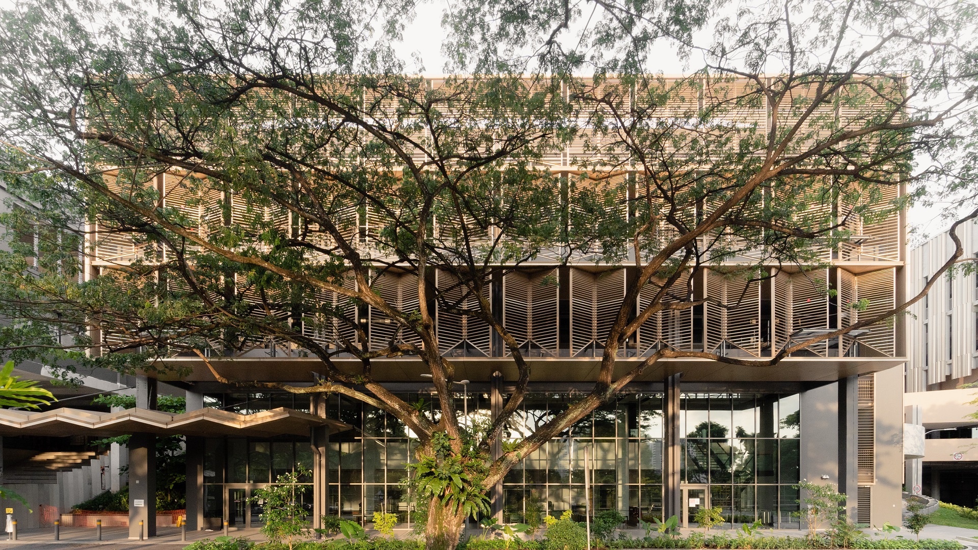 NUS School of Design and Environment shines at global design excellence ...