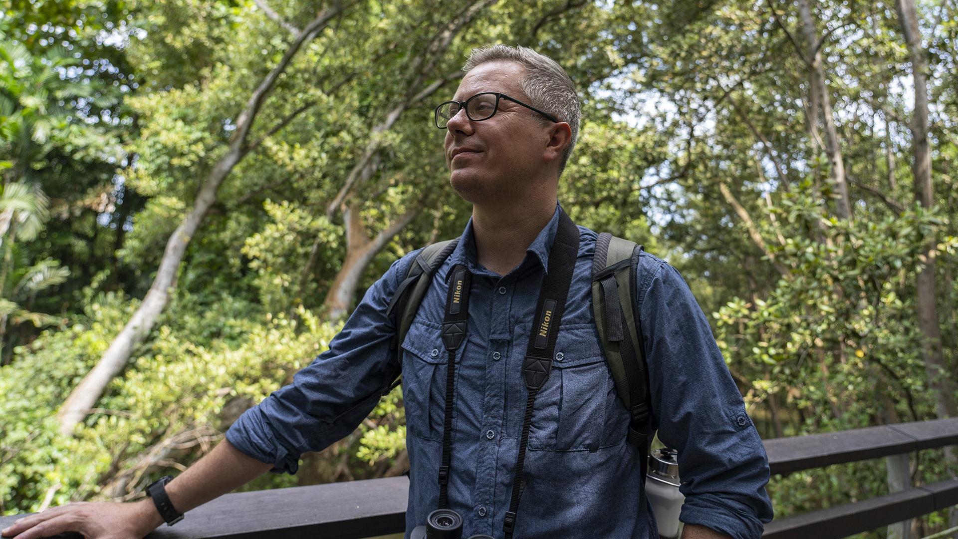 Public awareness key to mangrove preservation and restoration