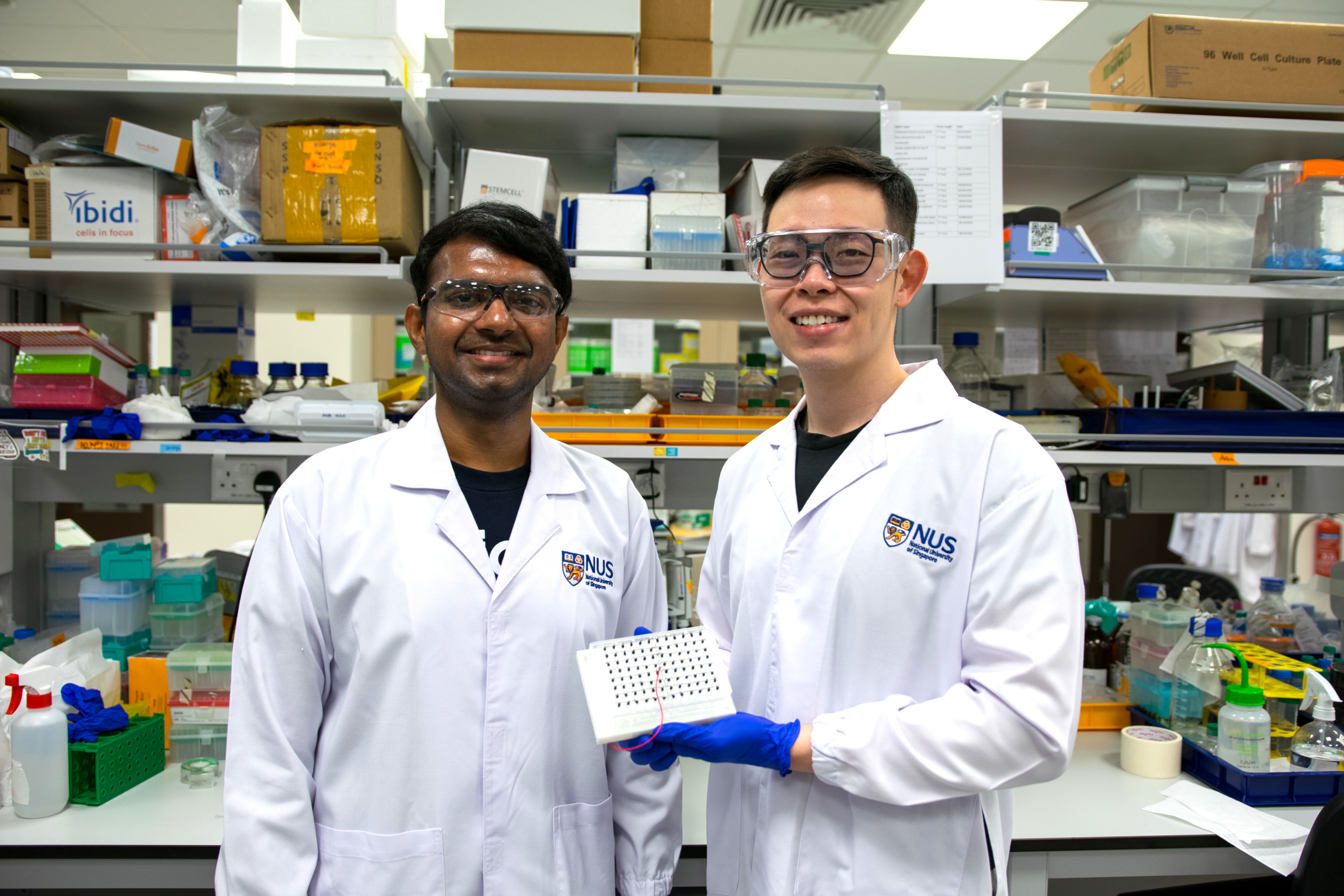 Boosting cancer treatment: NUS researchers develop efficient ‘food ...