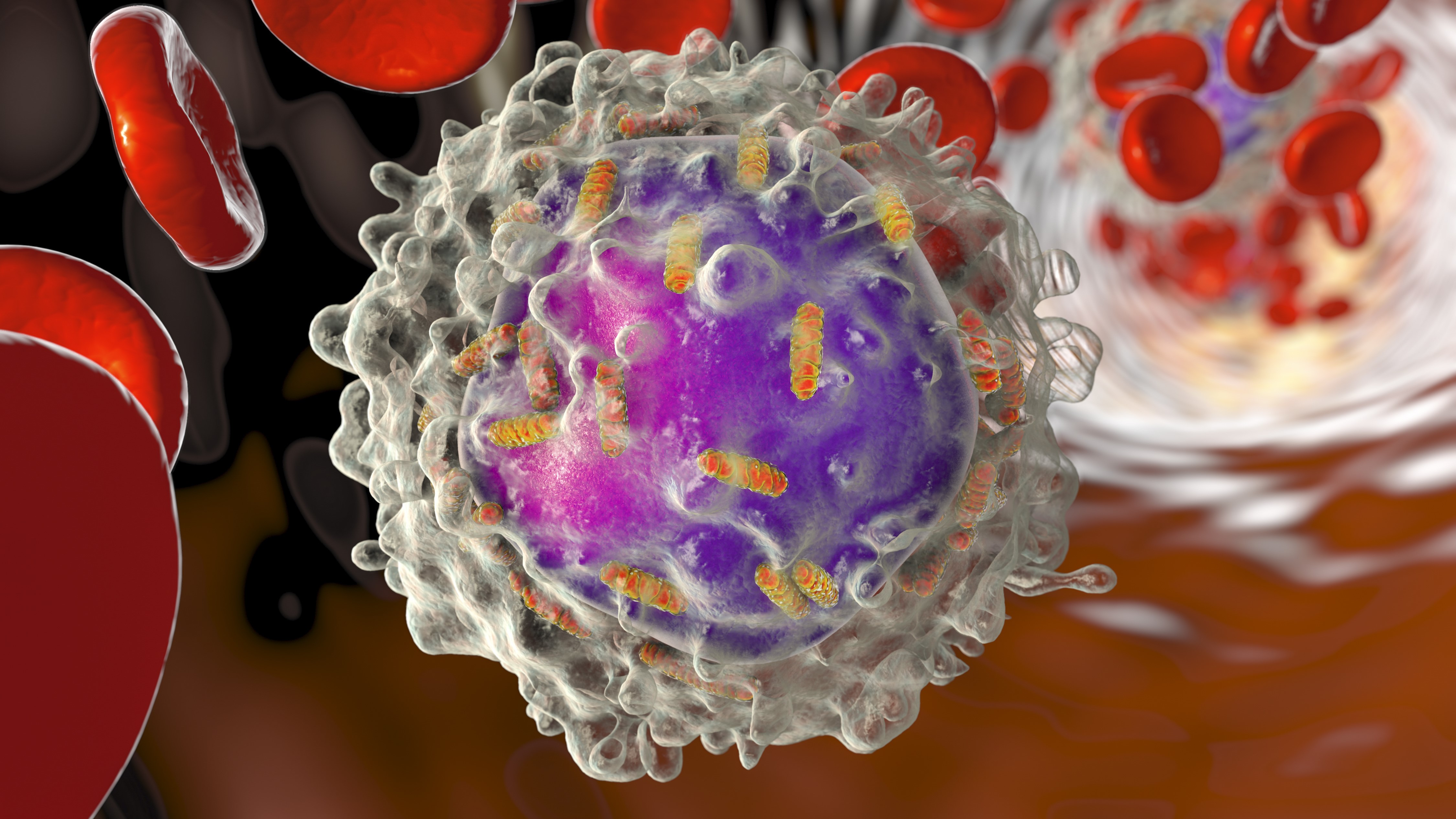 Battling cancer treatment resistance in relapsed acute myeloid leukaemia