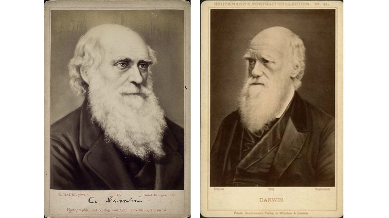 The complete photos of Darwin unveiled