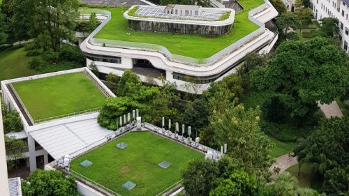 News - NUS Sustainability