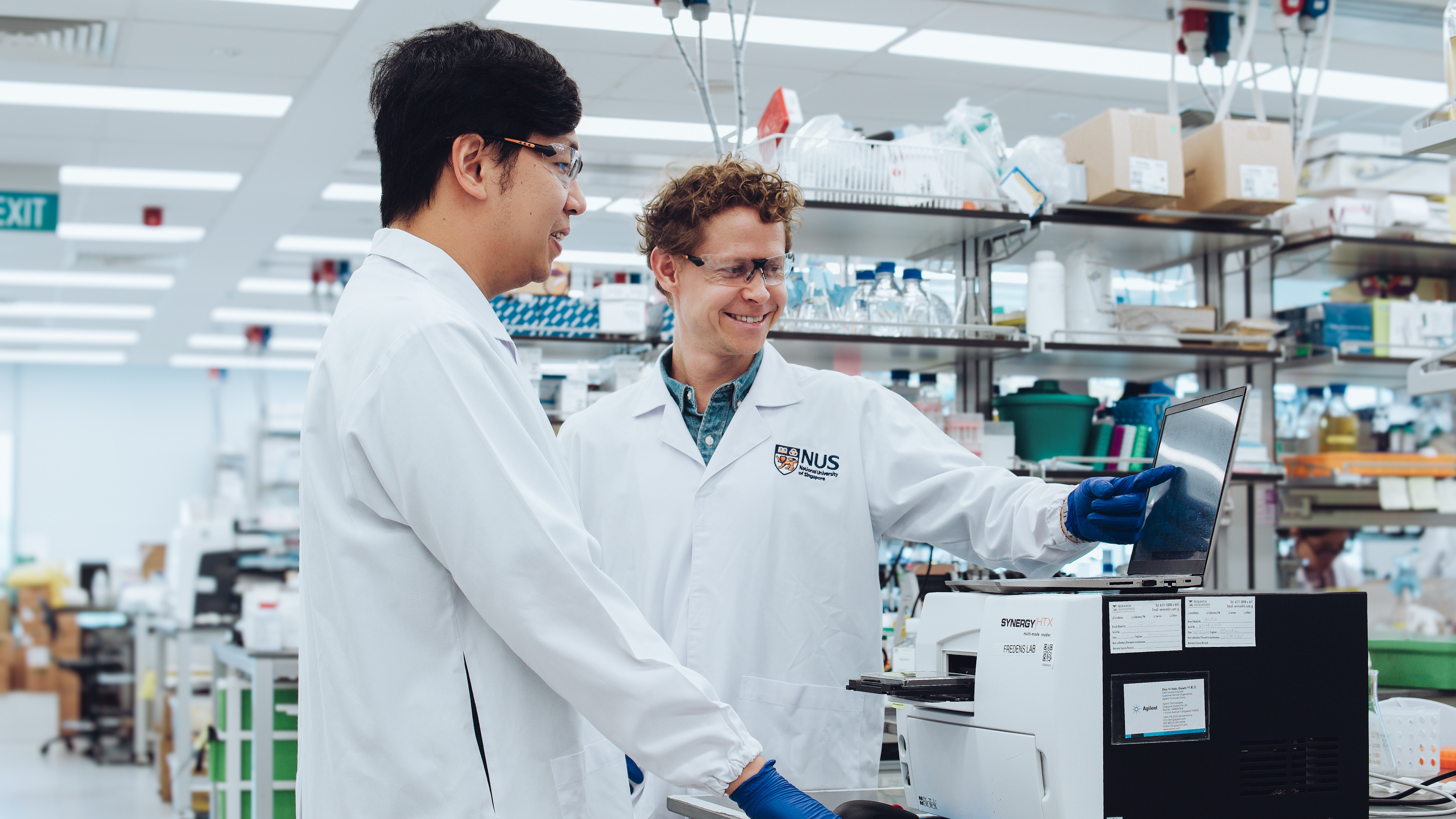 NUS scientists unveil a faster way to “train” bacteria for complex ...