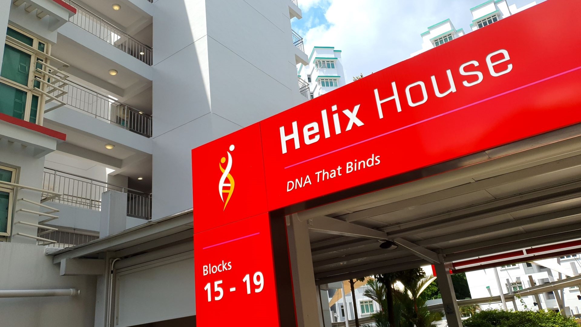 The power of a blank canvas: House Master Lee Kooi Cheng of Helix House ...