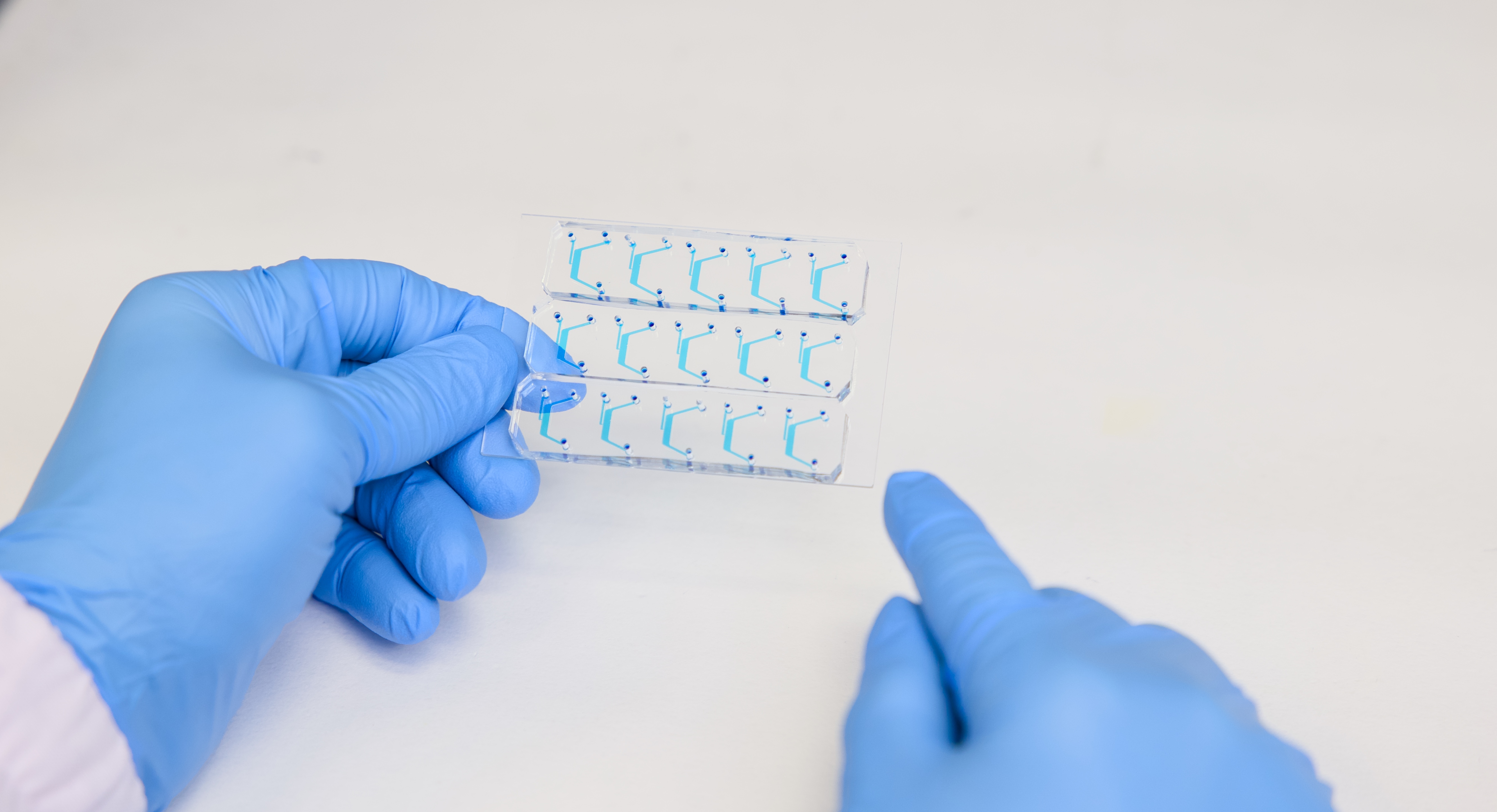 NUS scientists develop realistic ‘micro-gut’ model to study the ... NUS scientists develop realistic ‘micro-gut’ model to study the ...