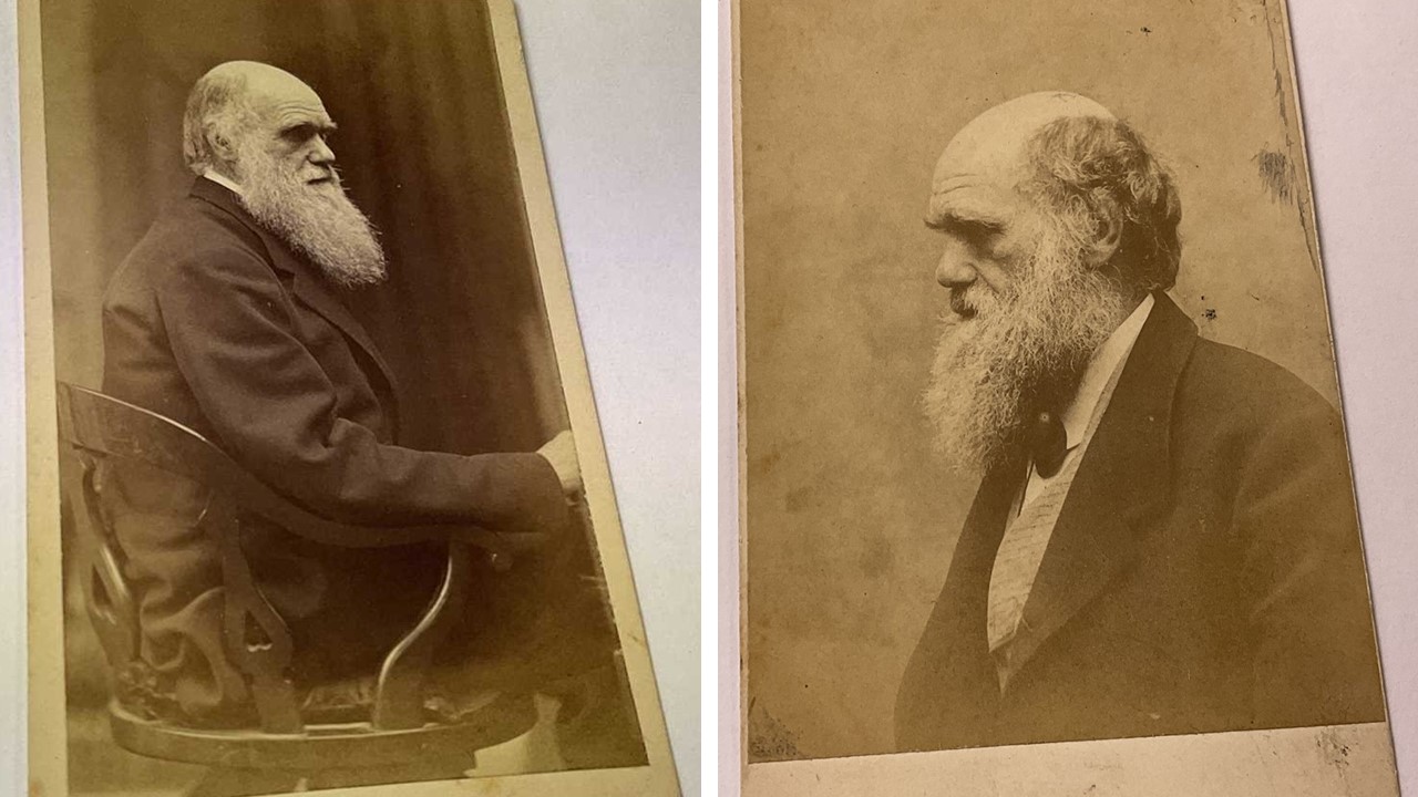 The complete photos of Darwin unveiled