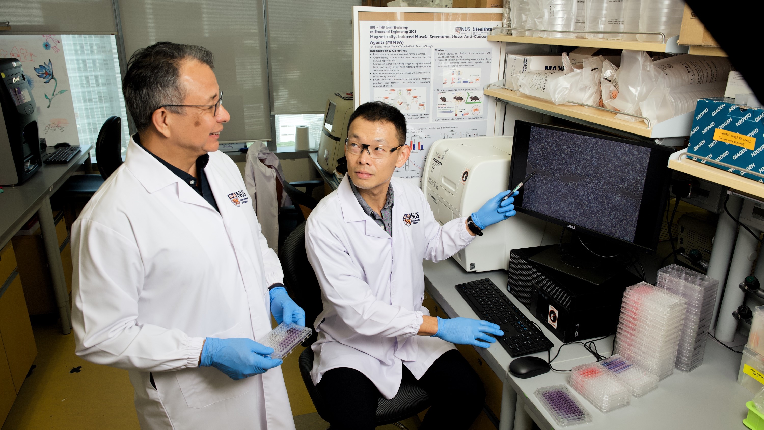 NUS scientists discover a novel way of activating muscle cells’ natural ...