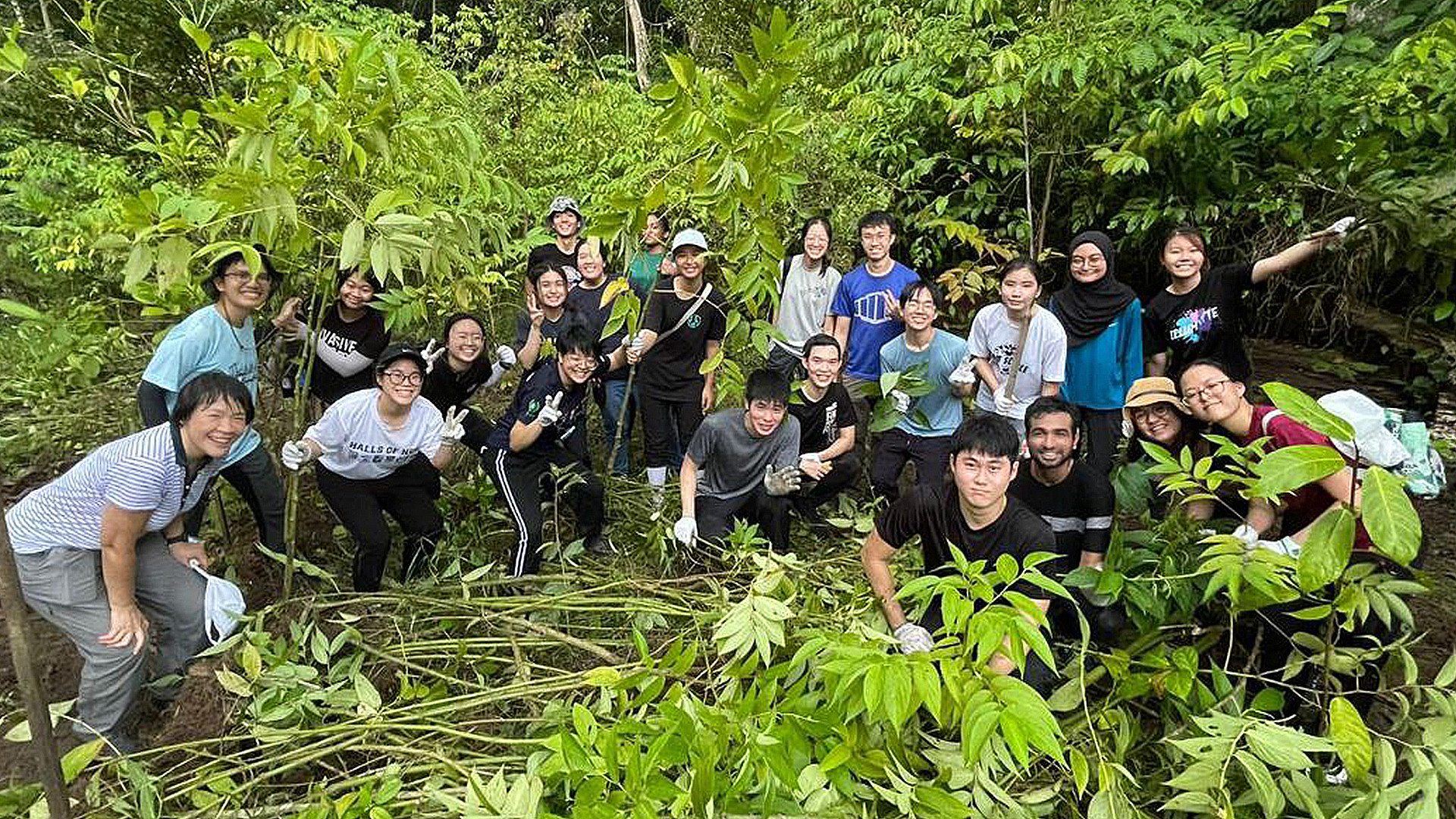 Building a green future: Sustainability programmes for NUS undergraduates