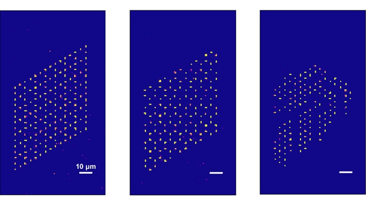 Nus Quantum Scientists Achieve State Of The Art Defect Free Atom Array 