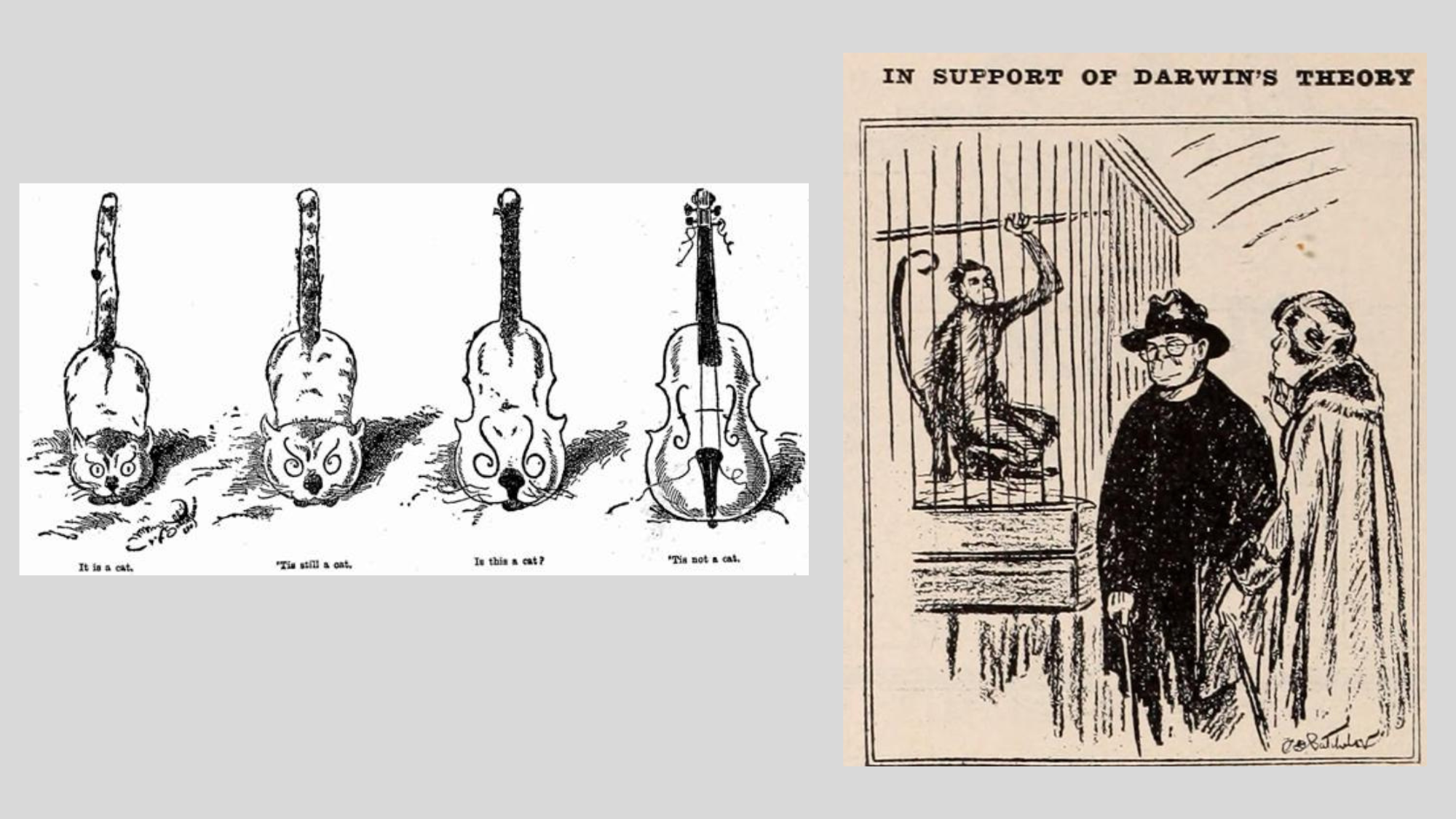 The largest collection of caricatures of Charles Darwin and evolution ...
