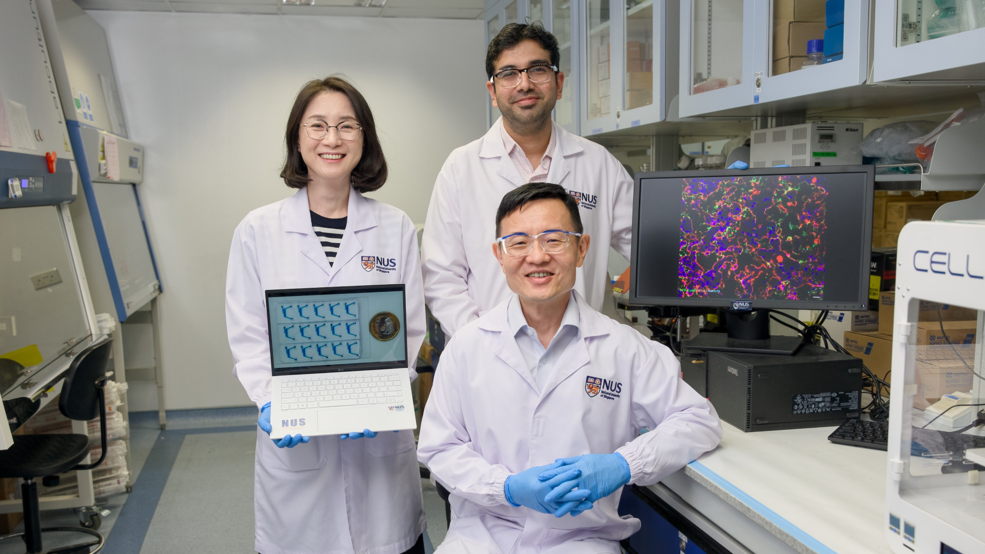 NUS scientists develop realistic ‘micro-gut’ model to study the ...