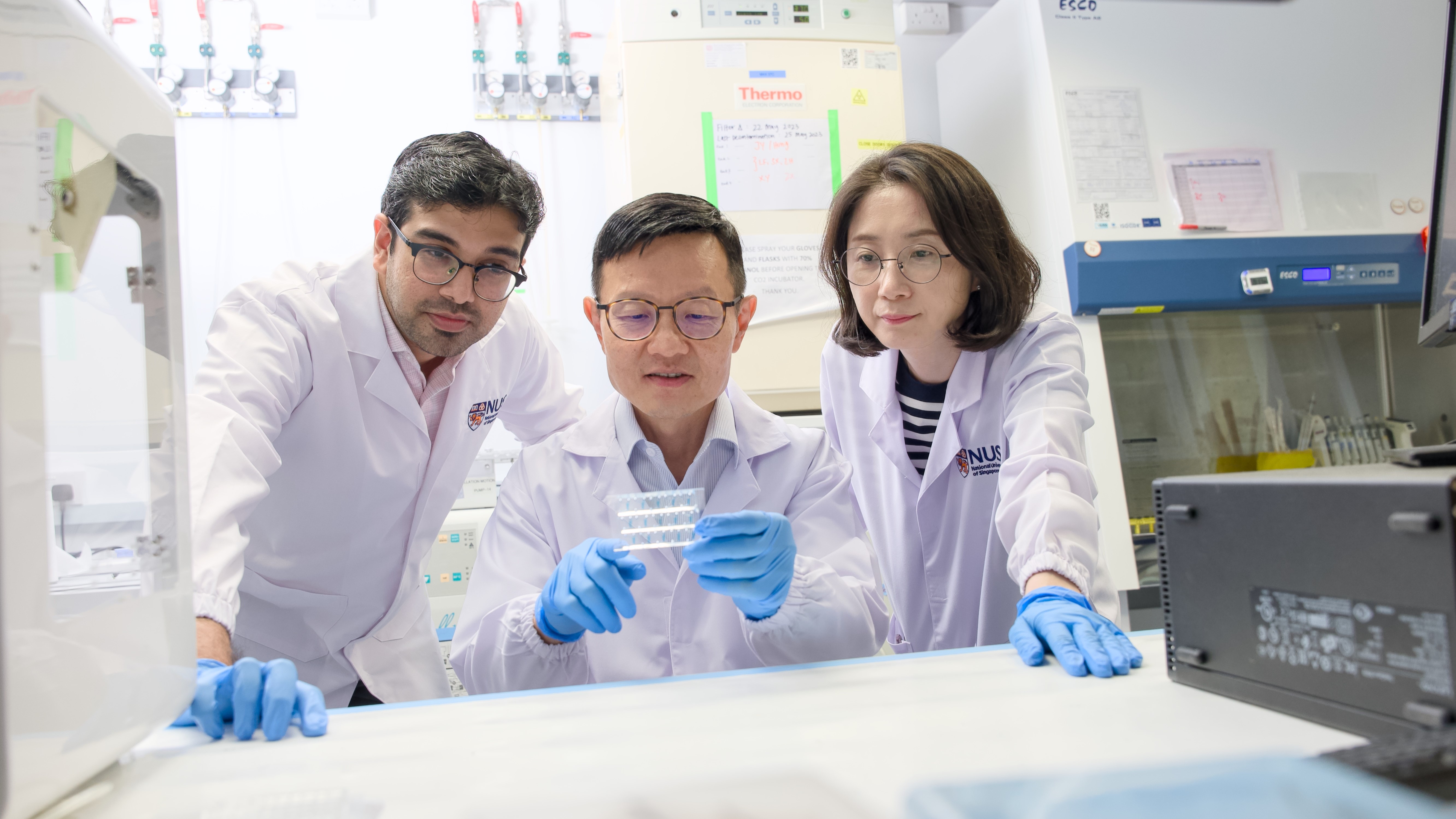 NUS scientists develop realistic ‘micro-gut’ model to study the ...