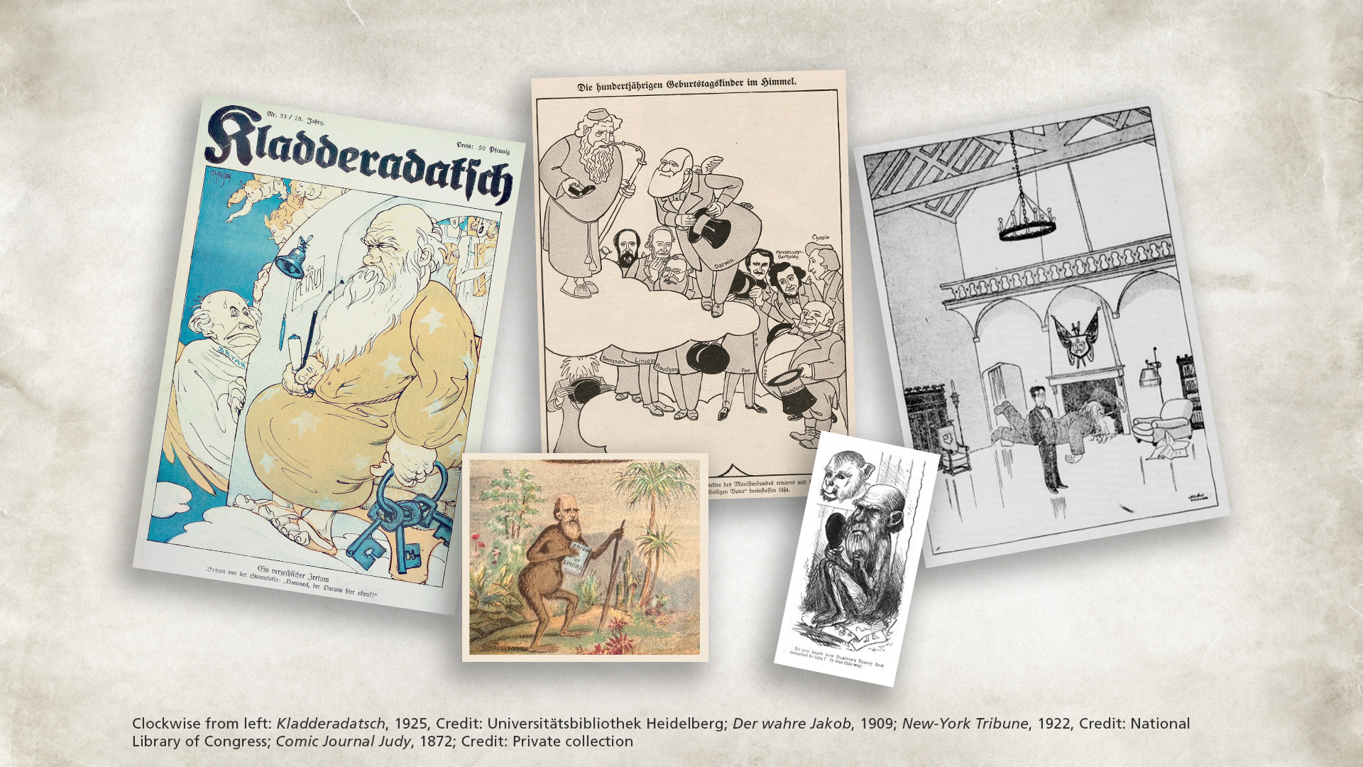 The largest collection of caricatures of Charles Darwin and evolution ...